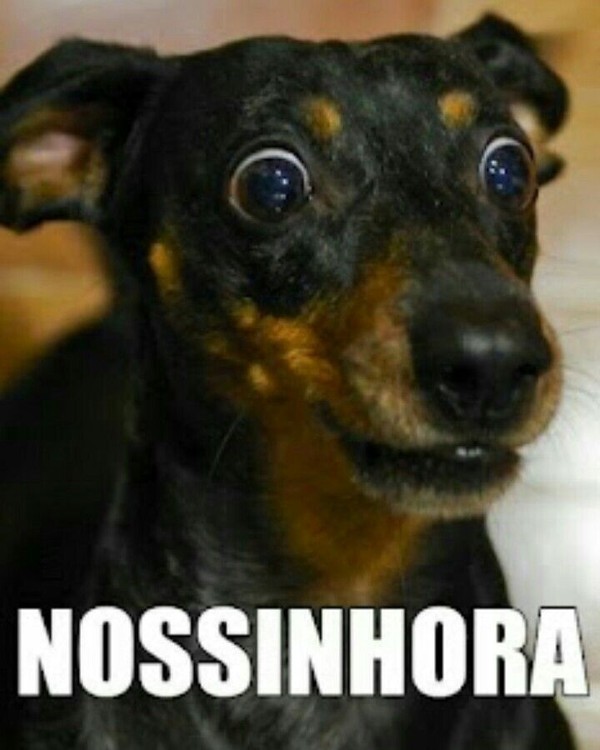 O que é meme Veja a origem os mais famosos e todas as informações
