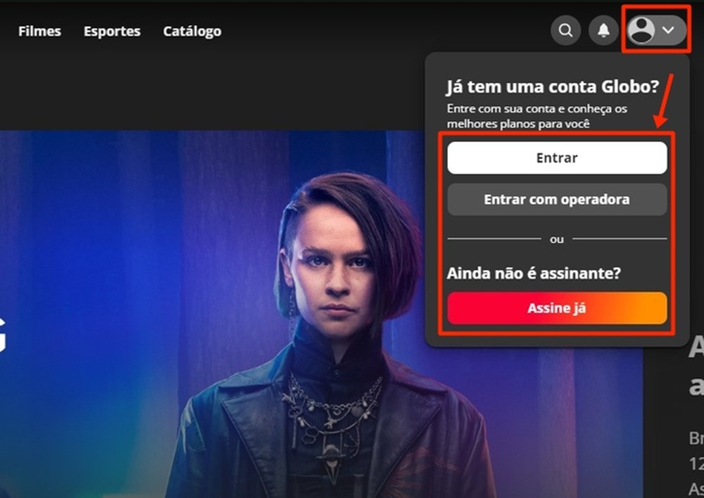 Goiás x Flamengo ao vivo onde assistir ao jogo do Brasileirão online
