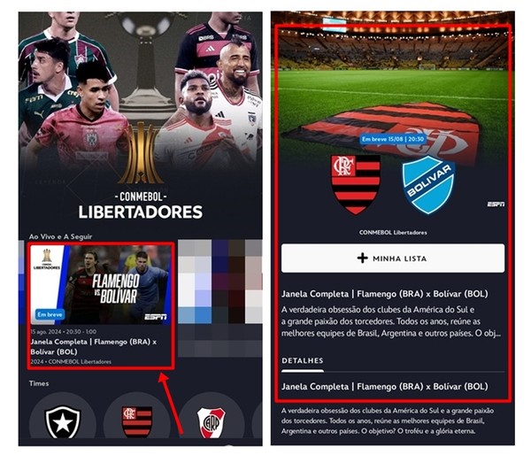 Flamengo x Bolívar ao vivo saiba como assistir horário e escalações