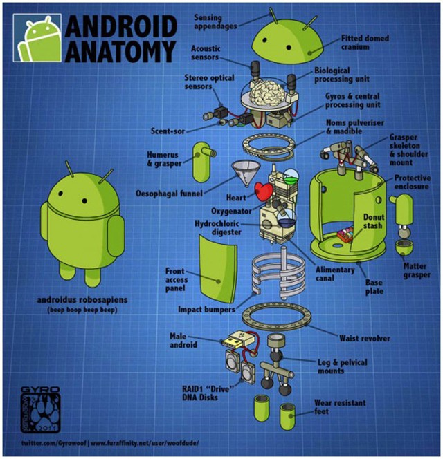 A anatomia do Android