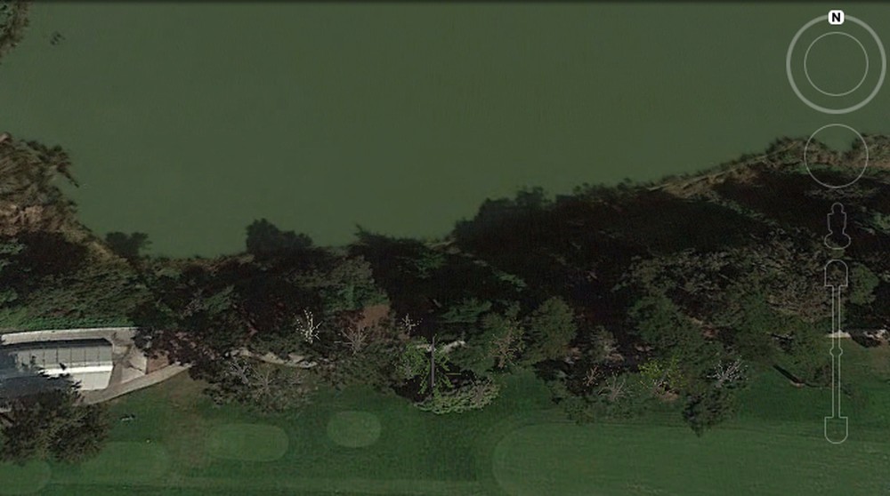 Como ver árvores em 3D no Google Earth