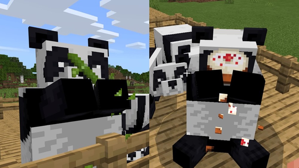 Panda no Minecraft: como domar, reproduzir, o que come e mais