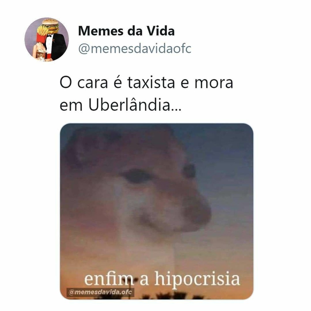 Relembre os 15 melhores memes que viralizaram na Internet em 2020