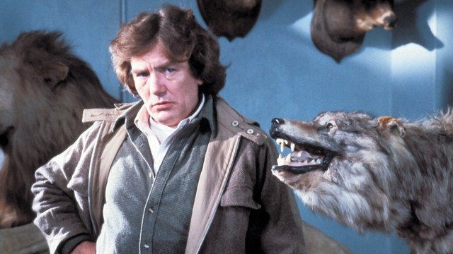 Veja 15 filmes de lobisomem bons que você precisa dar uma chance