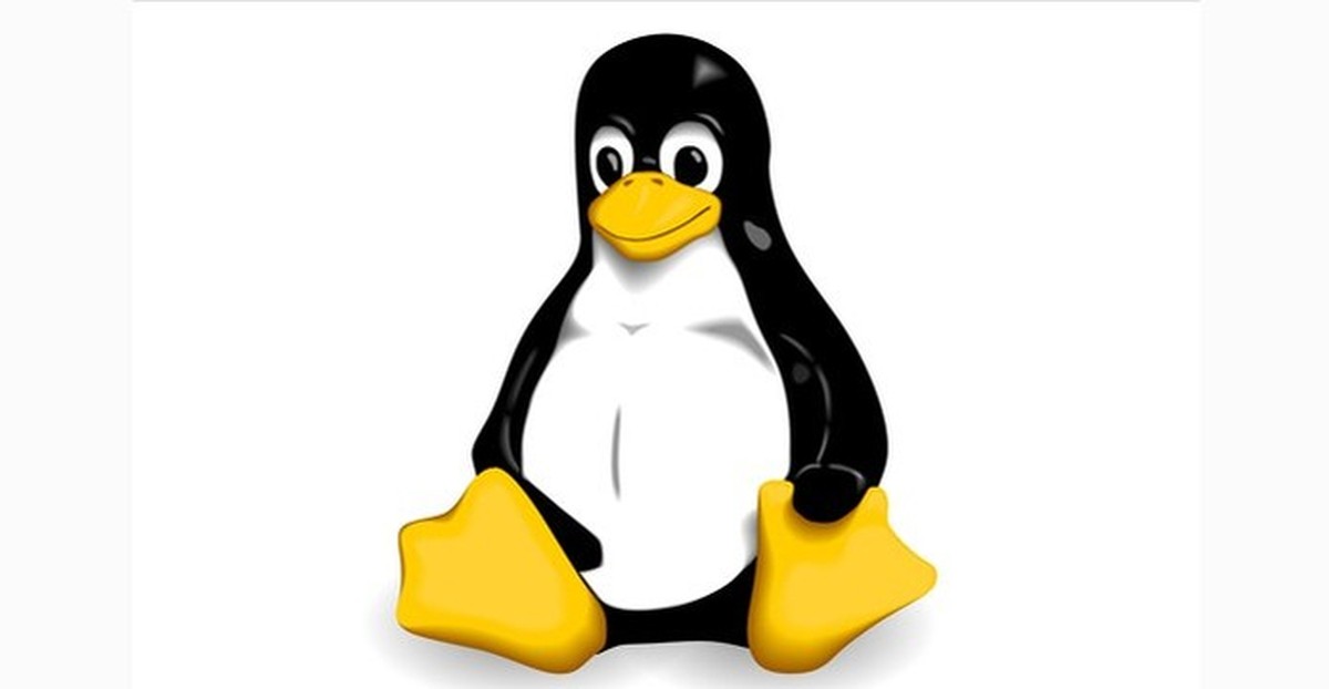 Como instalar o Google Chrome em sistemas Linux?