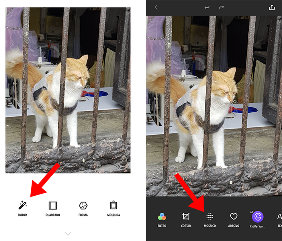 Como quadricular imagens no Piczoo para iPhone