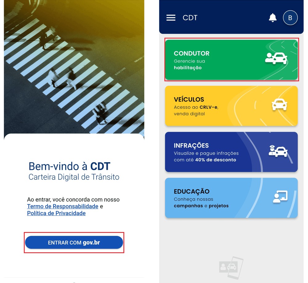 Como baixar a CNH digital no seu celular: aprenda o passo a passo
