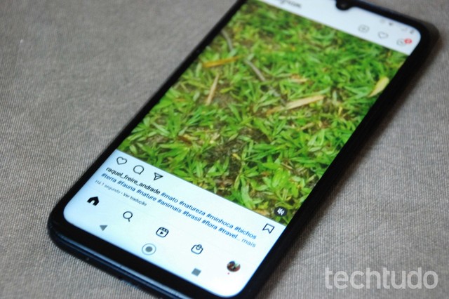 Como fazer Reels no Instagram: guia ensina a usar fotos, legendas e mais