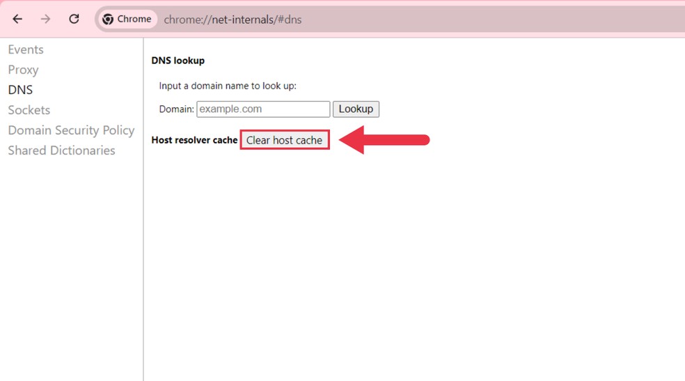 'chrome://net-internals/#dns': saiba o que é e como usar o comando
