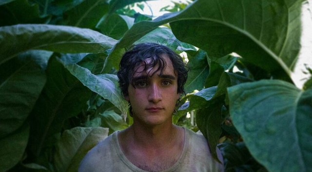 12 filmes inteligentes da Netflix que vão te fazer pensar muito