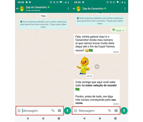 Zap do Canarinho na Copa: como ver convocação, horários de jogo e mais