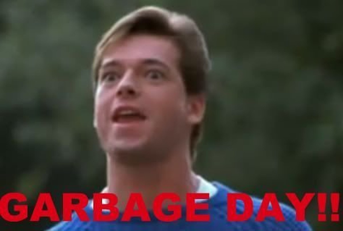 Entenda o meme 'garbage day'