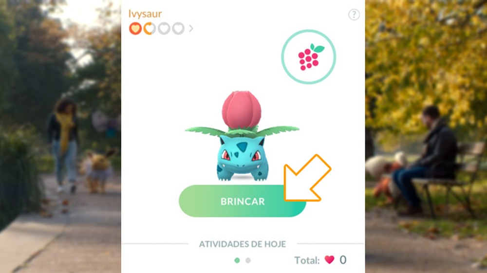 Como brincar com o seu companheiro no Pokémon GO