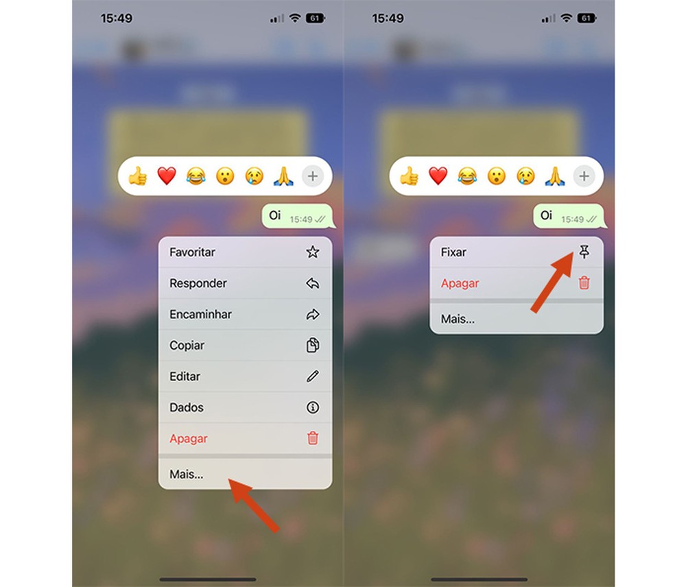 WhatsApp: como fixar mensagem em grupo ou conversa no aplicativo