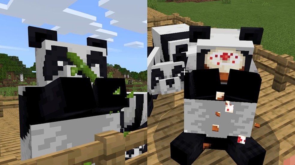 Panda no Minecraft: como domar, reproduzir, o que come e mais