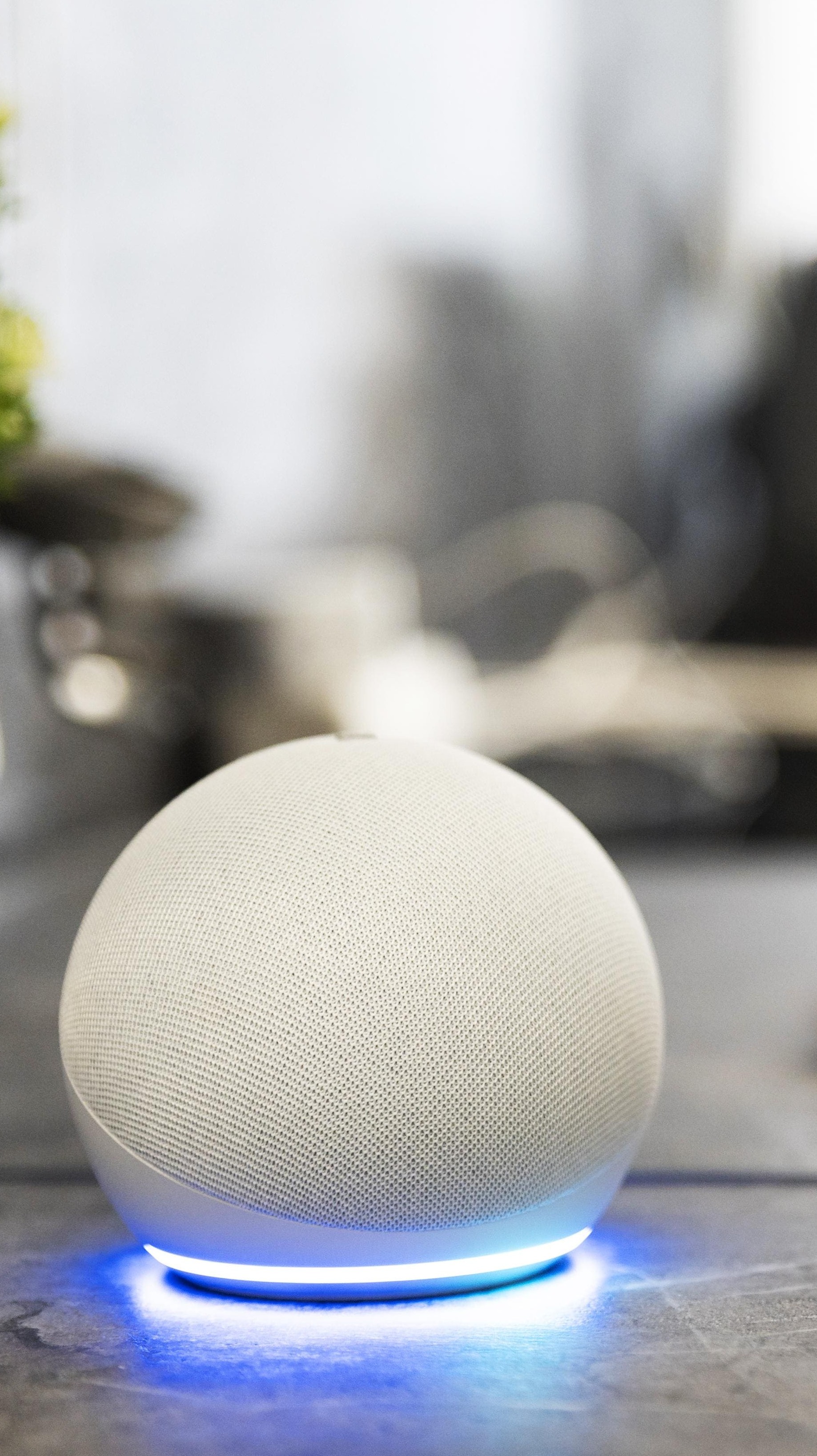 Quer comprar uma Alexa? Veja o que você precisa saber antes