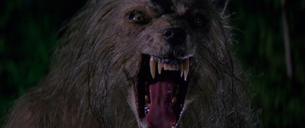 Veja 15 filmes de lobisomem bons que você precisa dar uma chance