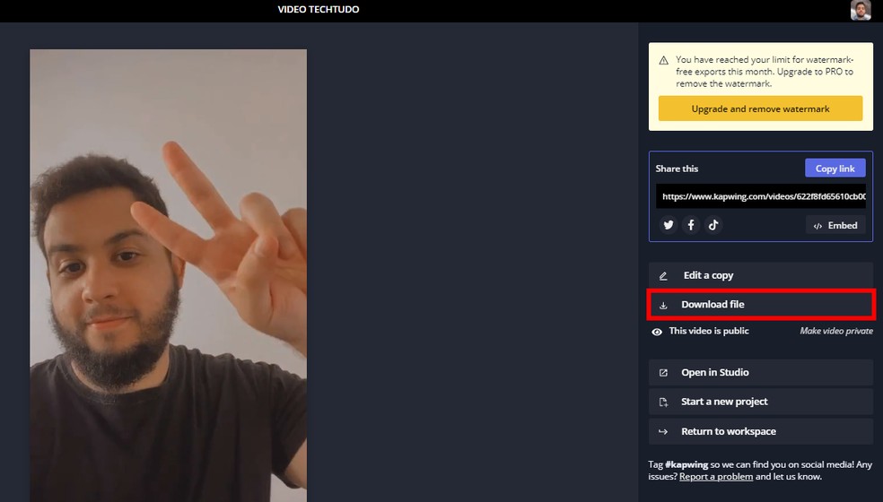 Como transformar vídeo em boomerang com o site Kapwing