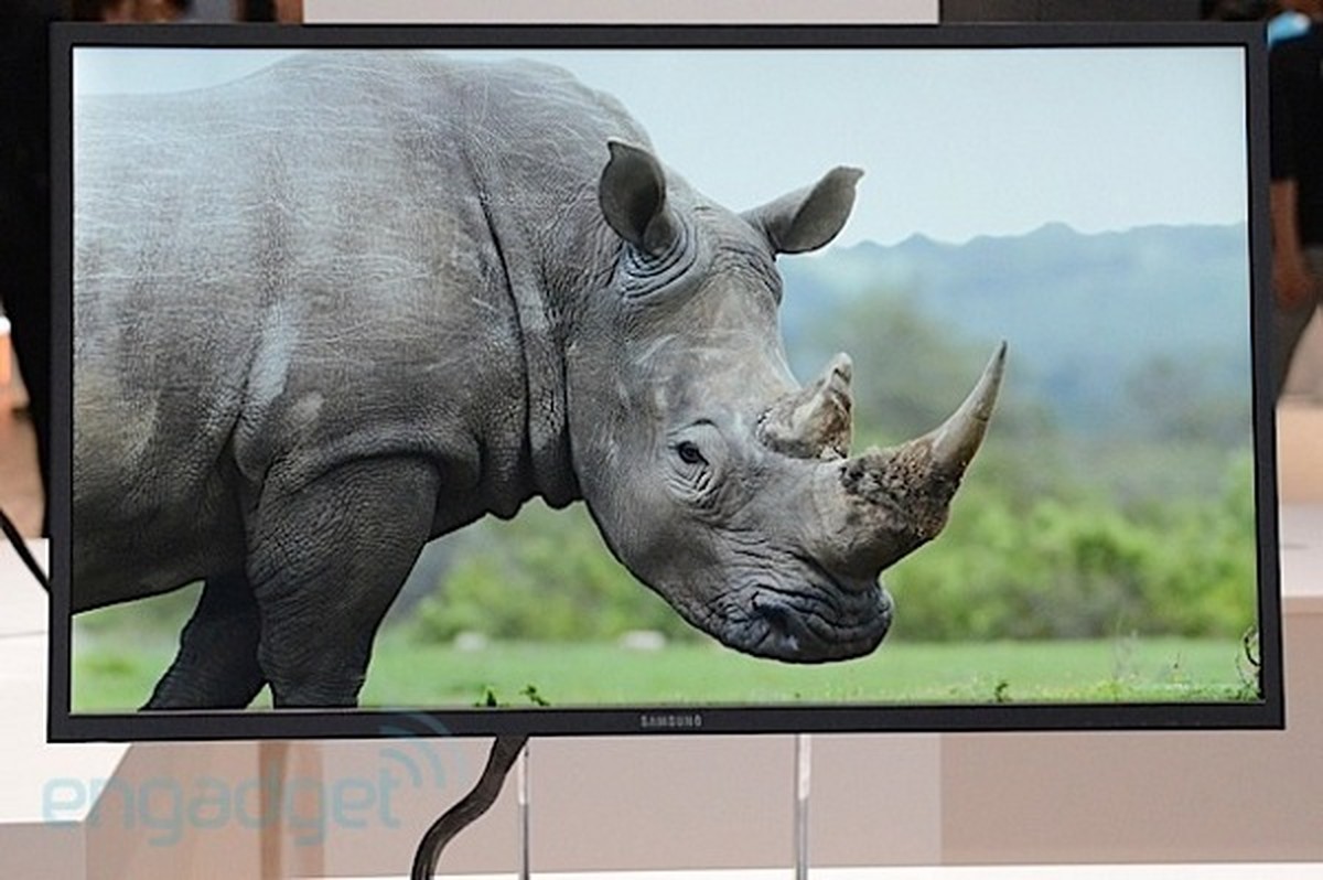 Samsung lança monitor 4K com 31 polegadas na IFA 2013