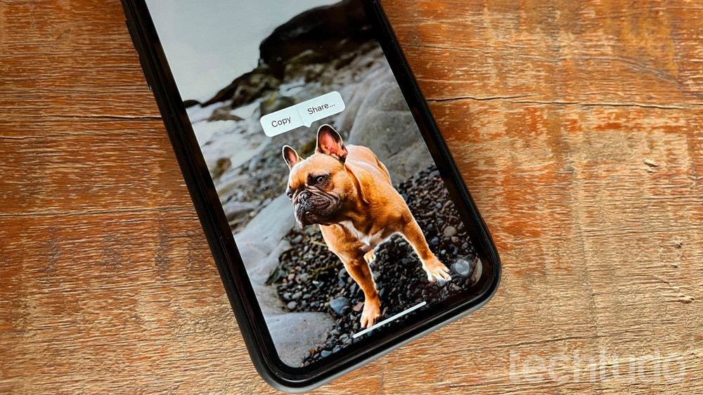 iOS 16: descubra tudo o que você pode fazer no iPhone com o Live Objects