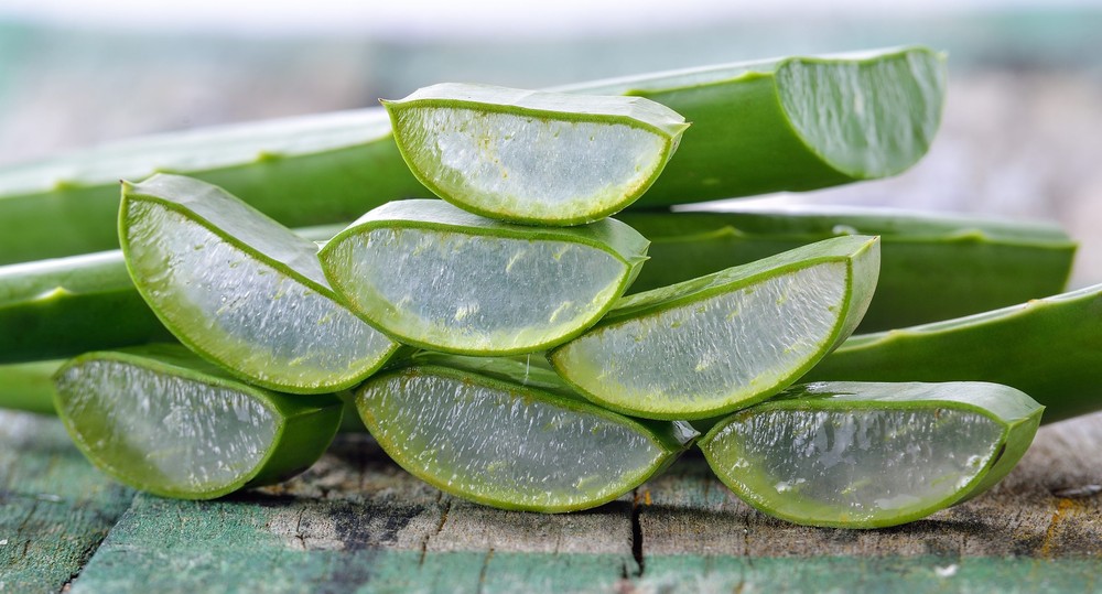 Flor do nascimento coreana: conheça a planta do seu dia segundo a tradição
