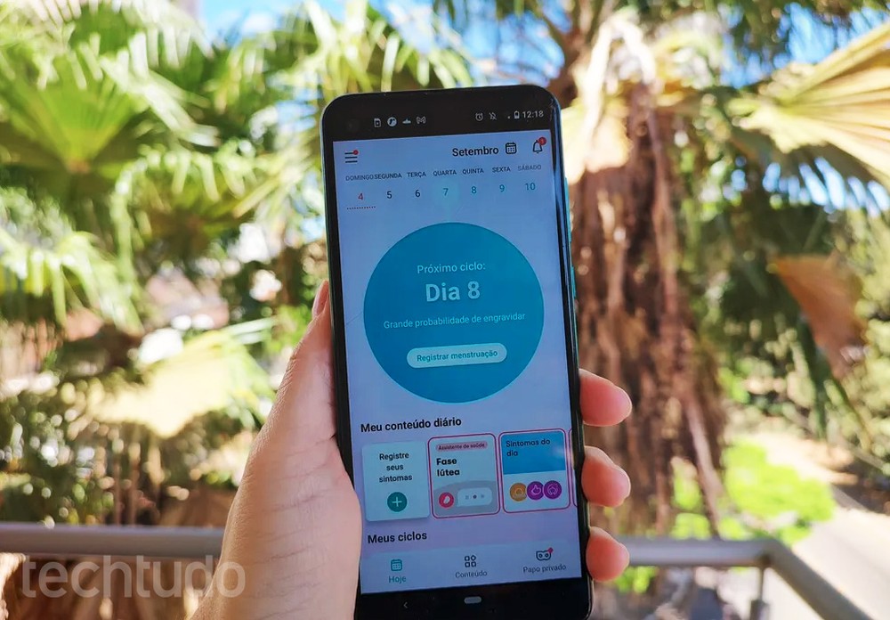Como saber o dia de seu período fértil usando o app Flo