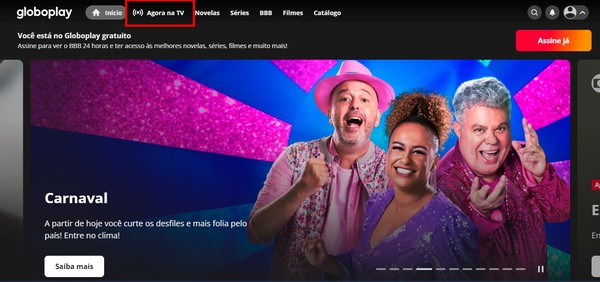 Apuração do Carnaval SP 2024: veja horário e como assistir ao vivo