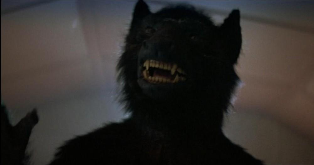 Veja 15 filmes de lobisomem bons que você precisa dar uma chance