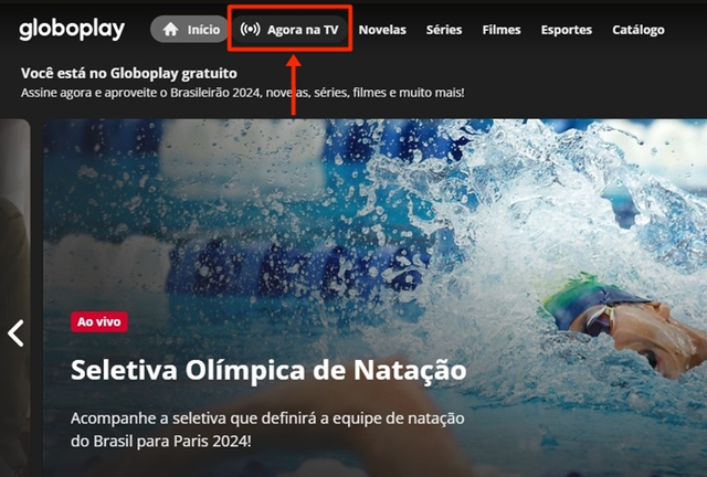 Palmeiras x Independiente del Valle ao vivo: onde assistir à Libertadores
