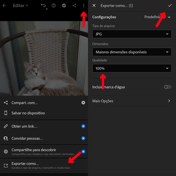 Como usar Lightroom Mobile? Veja guia completo para ter fotos perfeitas