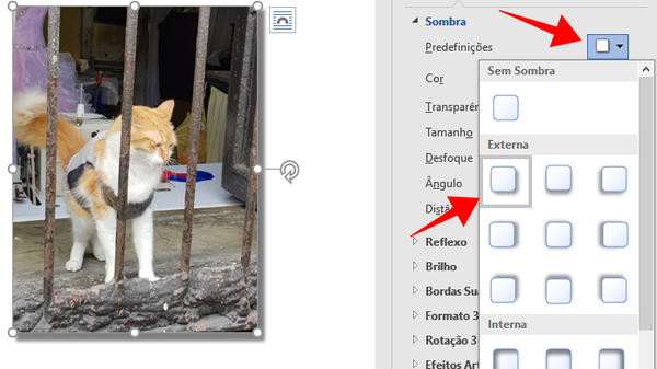 Como editar imagens no Word