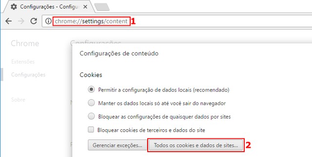 Como apagar cookies de um site específico no navegador de Internet