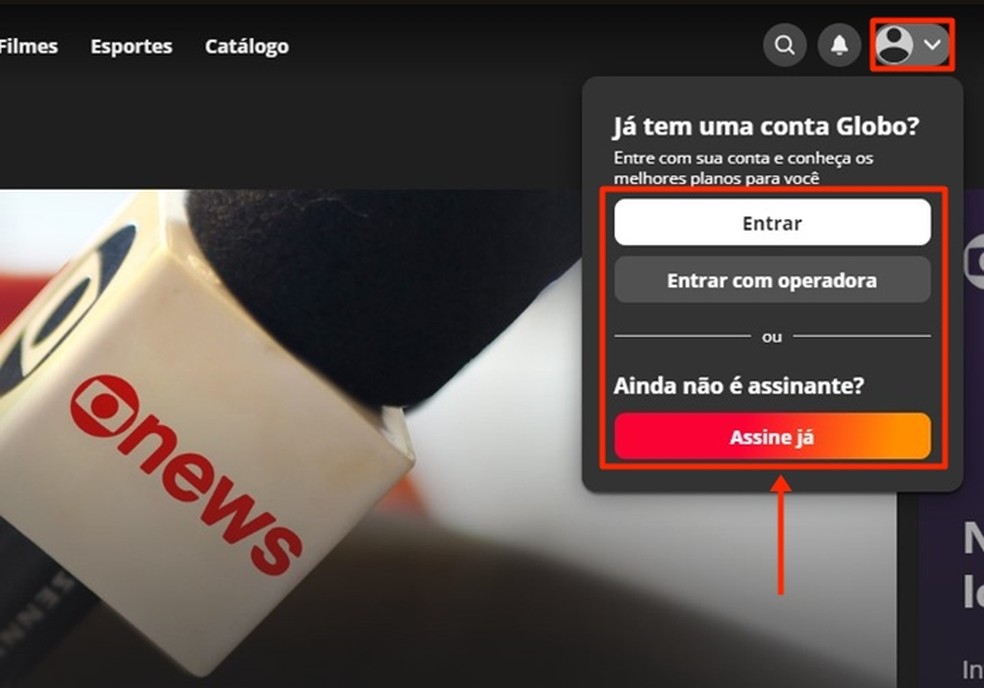 Botafogo x Fluminense ao vivo: veja horário e onde assistir ao Brasileirão