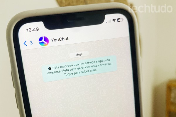 You.com no WhatsApp: como usar inteligência artificial