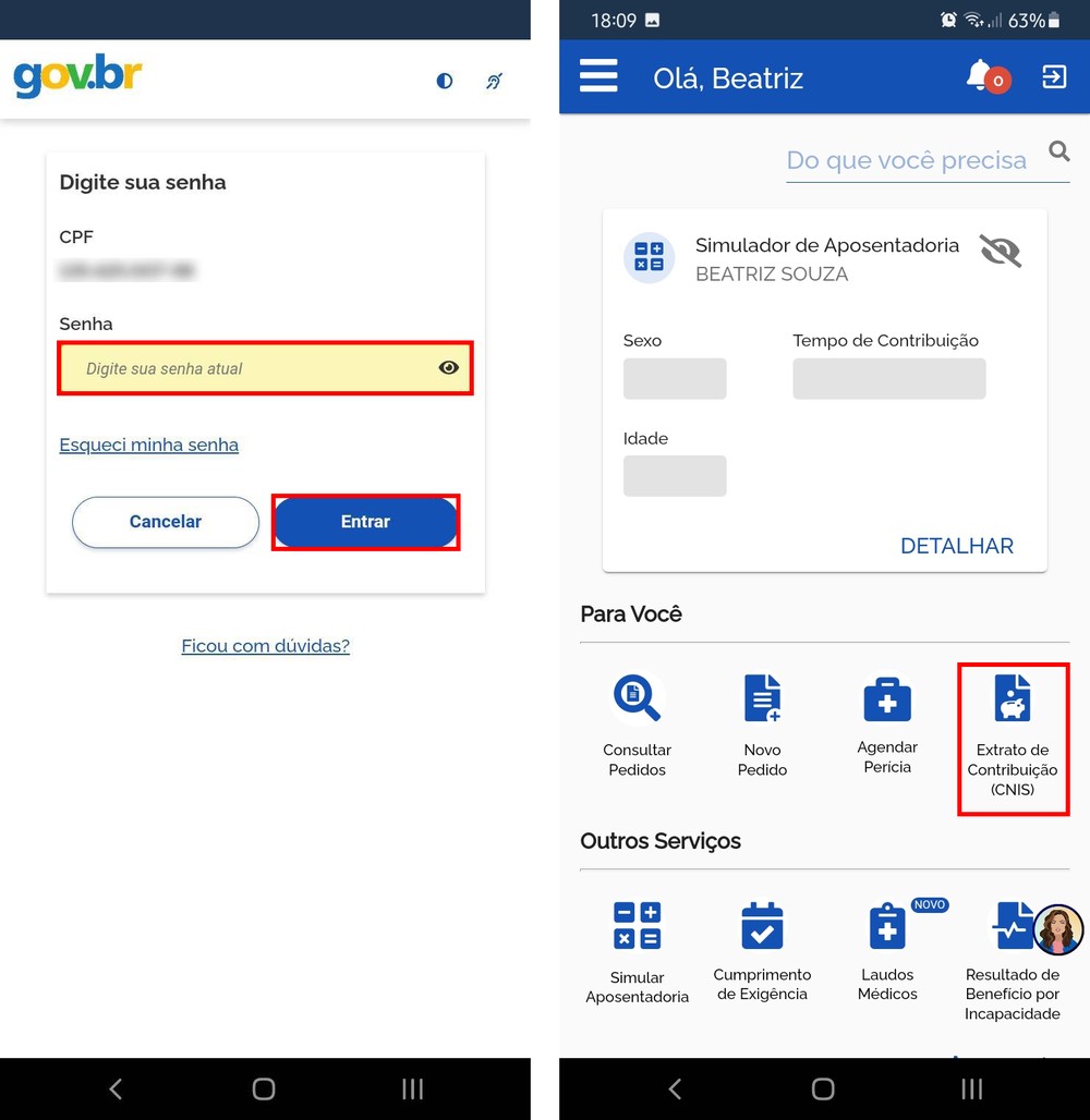 Meu INSS: como consultar contribuições e emitir extrato previdenciário ...