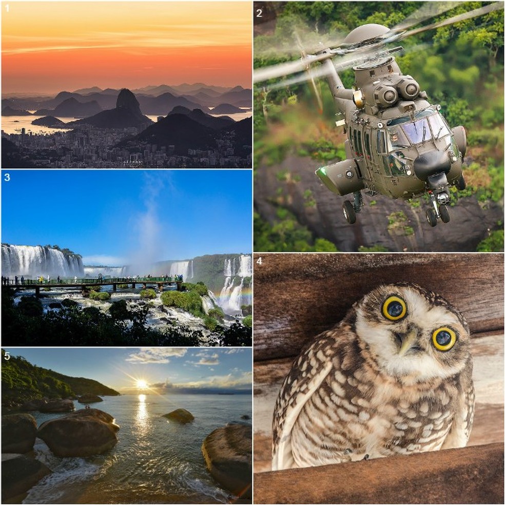 Flickr revela as melhores fotos de 2016 e câmeras mais usadas