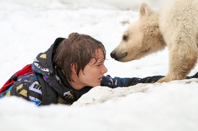 10 filmes de urso que valem a pena assistir hoje mesmo