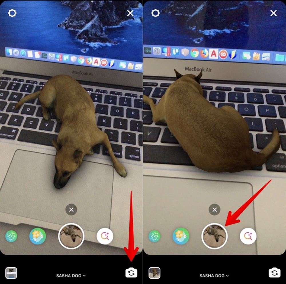 Filtro de cachorro no Instagram: como usar o efeito Sasha Dog