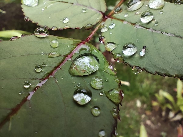 Review Redmi Note 13 Pro: intermediário com câmera surpreendente