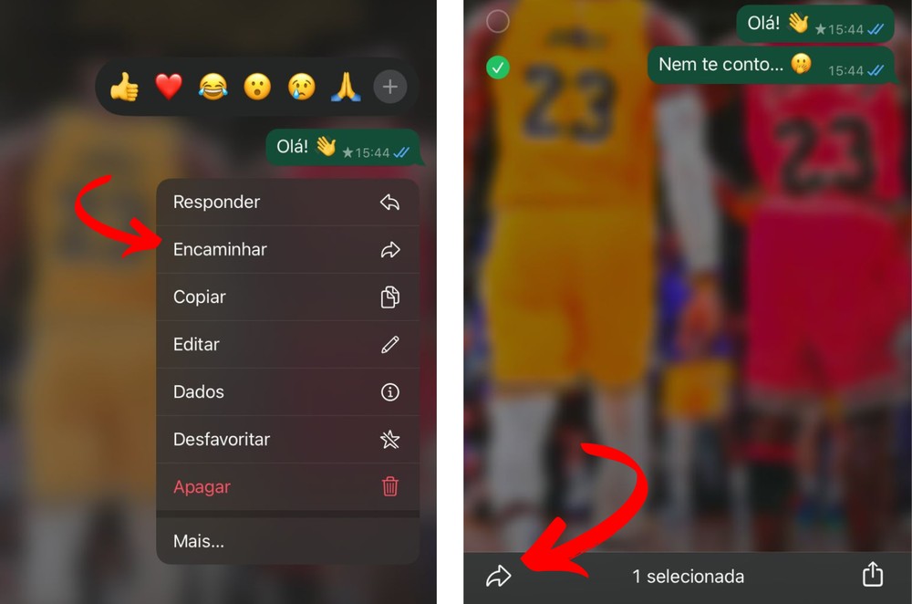 Como usar o WhatsApp? Guia definitivo com os principais recursos do app