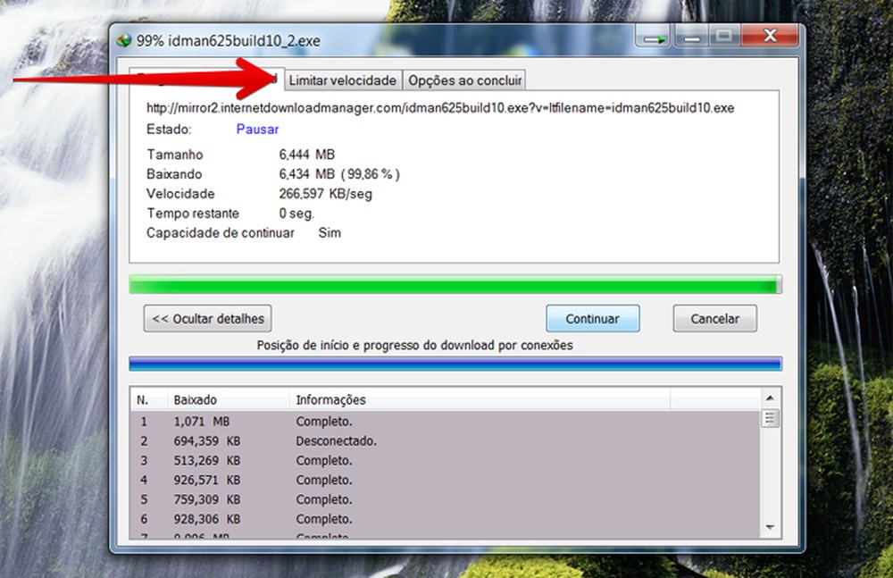 Como usar o Internet Download Manager: 5 dicas para iniciantes