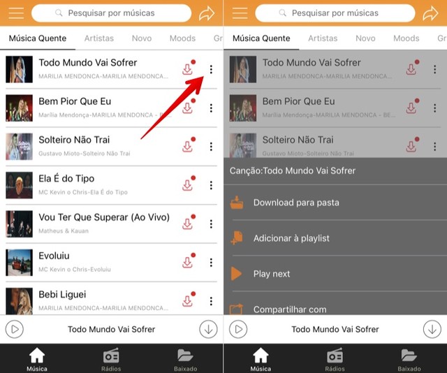 Como usar o Young Radio Pro para ouvir música offline grátis no iPhone