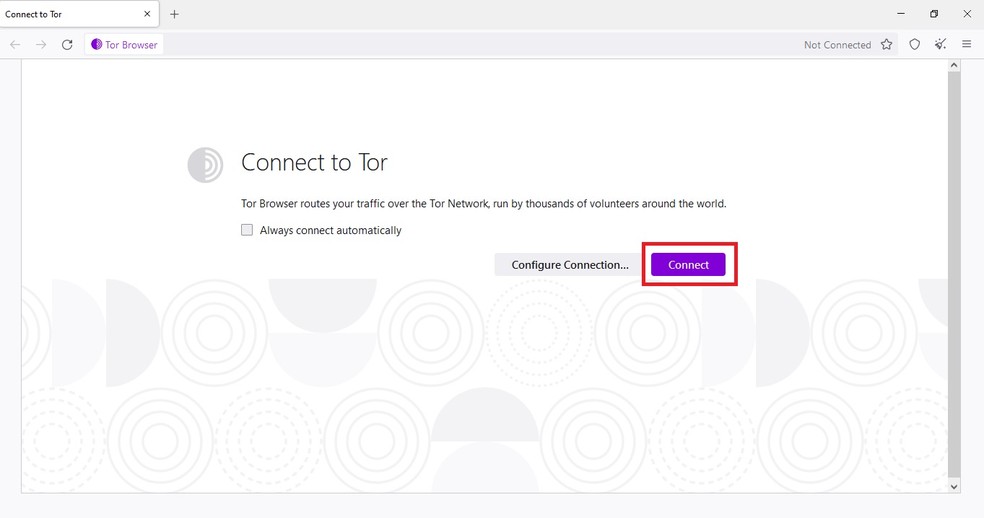 Tor Browser: como fazer download e instalar navegador privado