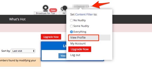 Como usar o Adult FriendFinder, site para quem está em busca de sexo