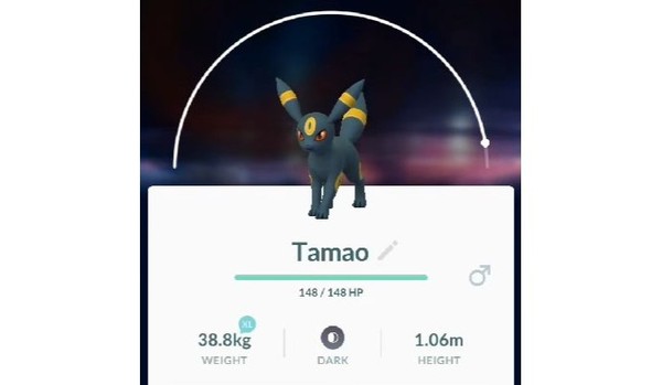 Como escolher a evolução do Eevee em Pokémon Go
