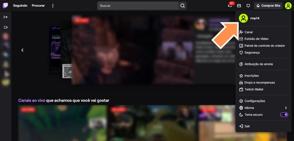 Como excluir sua conta da Twitch