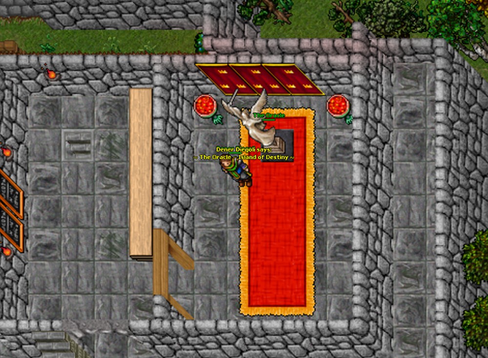 Como jogar Tibia, um dos mais famosos RPGs online