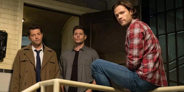 Conheça 12 séries de lobisomem que vale a pena dar uma chance