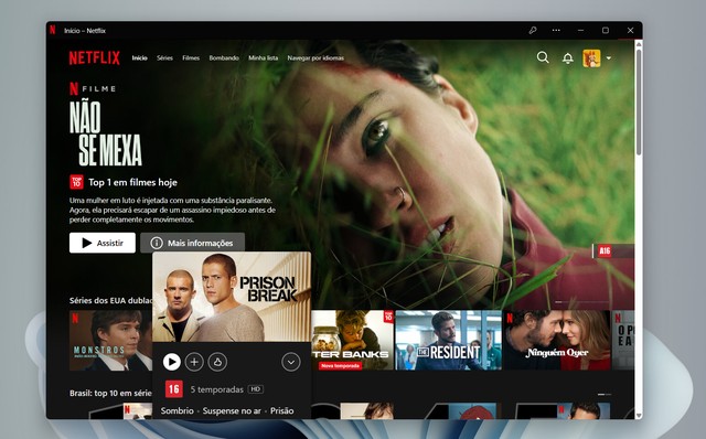 Como baixar Netflix no notebook e PC