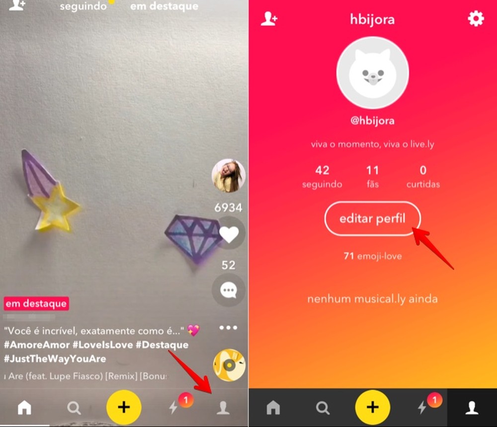 Como editar o perfil e mudar a foto no Musical.ly